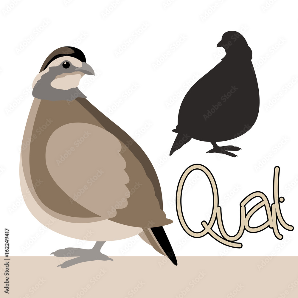 bird quail vector illustration style Flat black silhouette Stock Vector ...