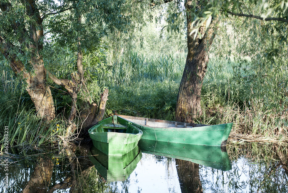 River boat near a tree Stock Photo | Adobe Stock