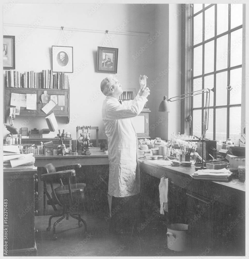 Fleming in his Lab - Photo. Date: 1881 - 1955 Stock Photo | Adobe Stock