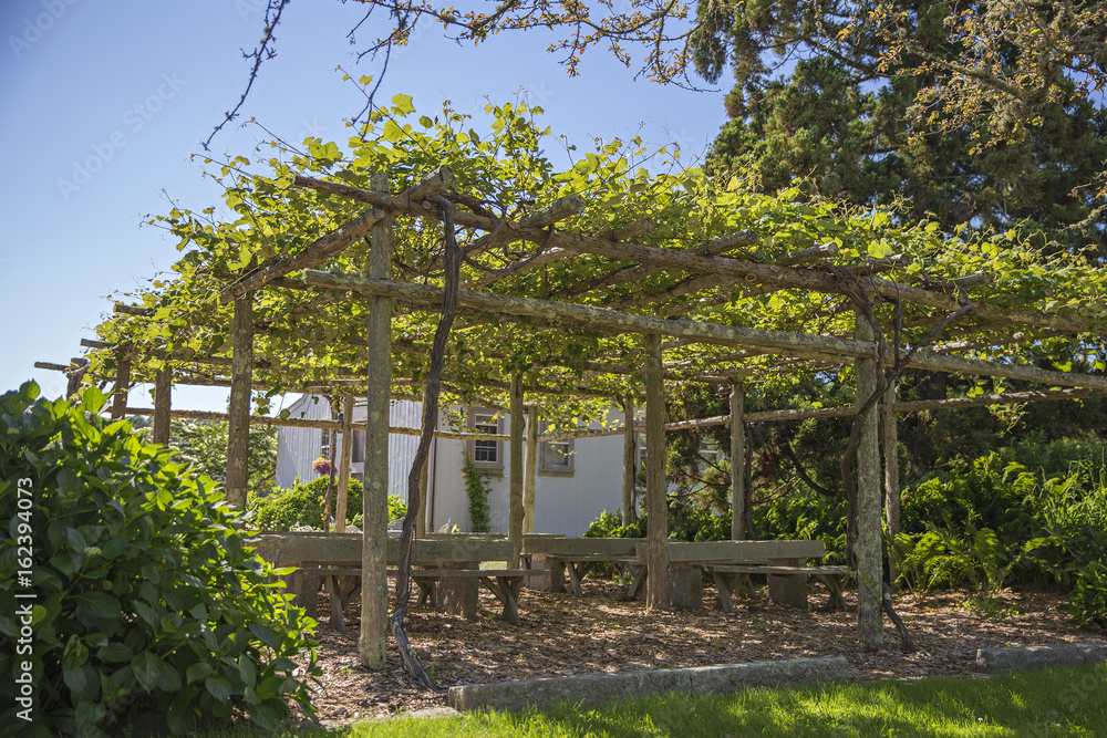 Open restaurant terrace under a grape vine. Patio with stone tables and ...