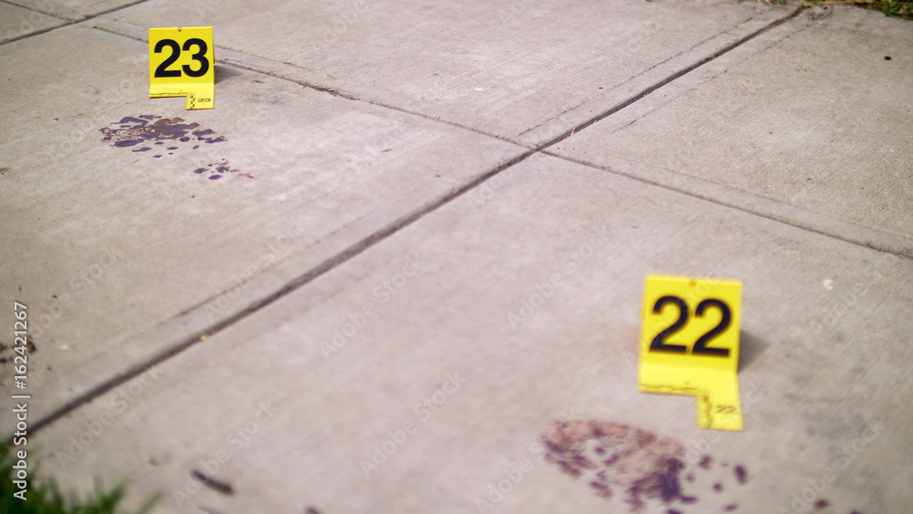 BLOODY FOOTPRINTS AT A CRIME SCENE Stock Photo | Adobe Stock