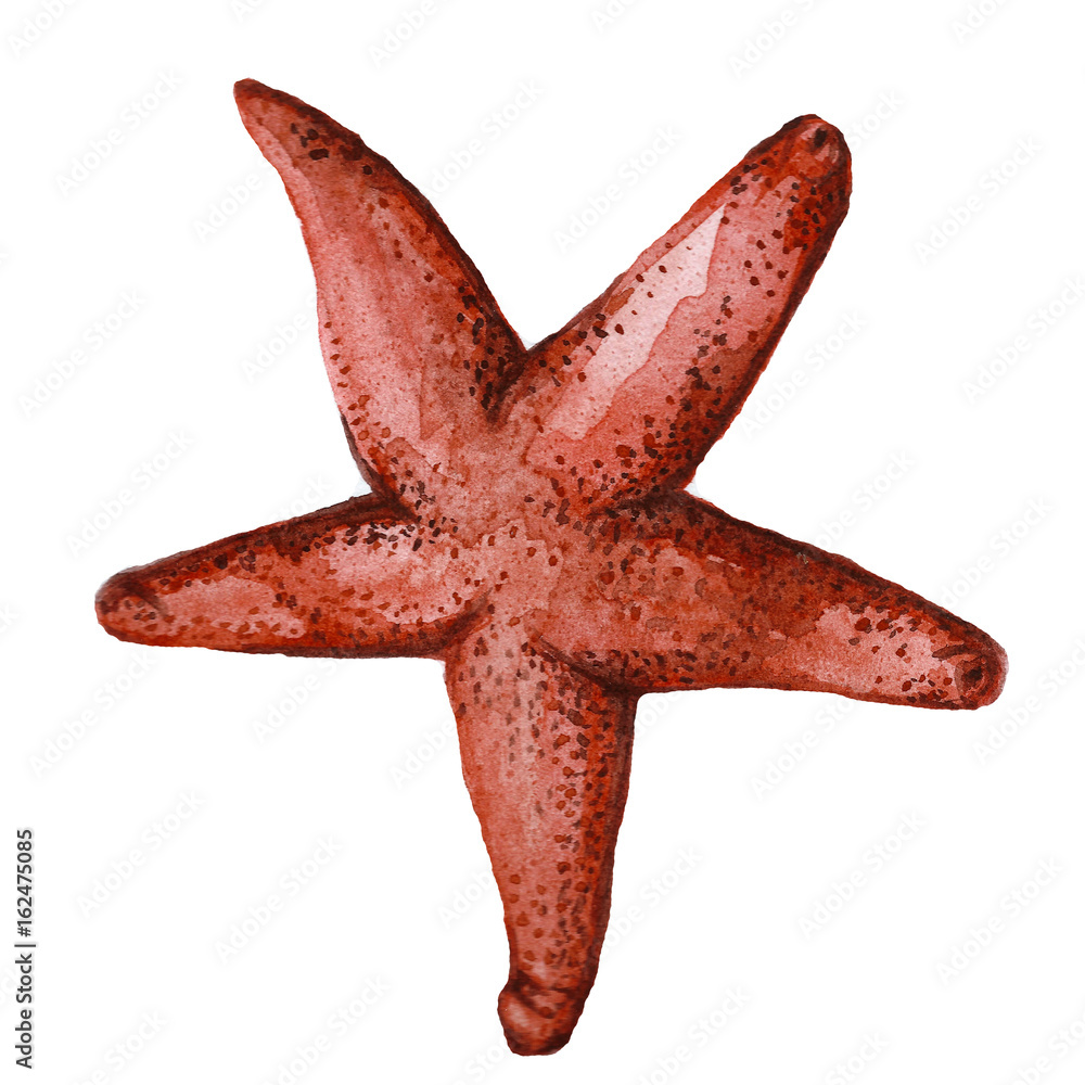 Starfish To Color