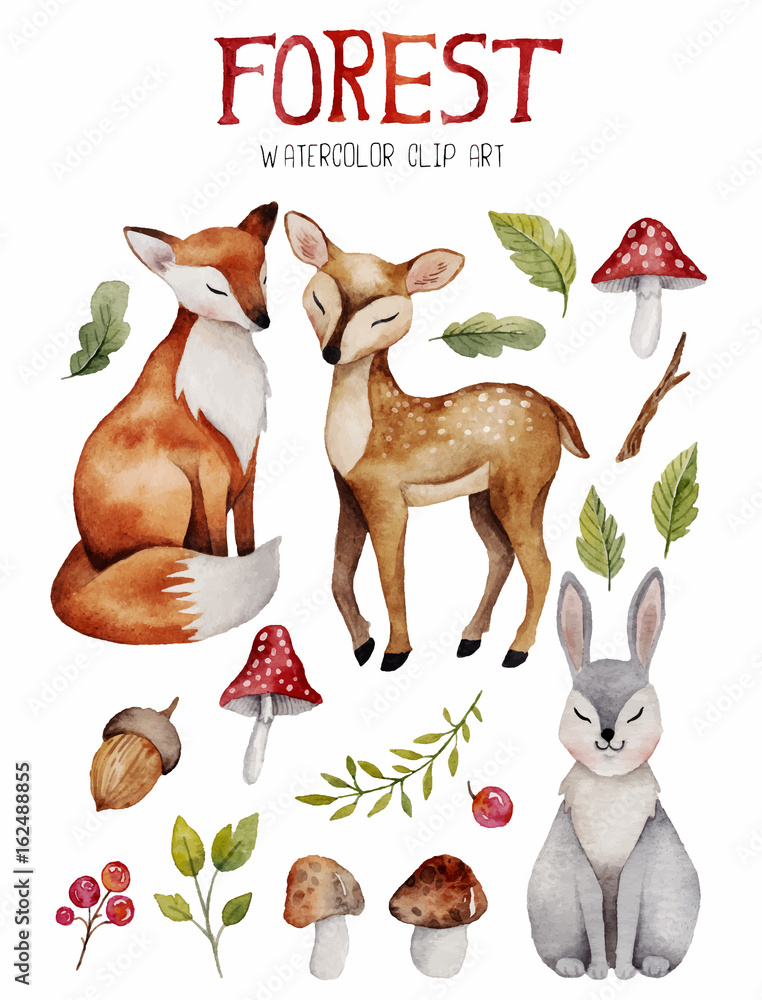 Watercolor clipart with cute forest elements. Stock Vector | Adobe Stock