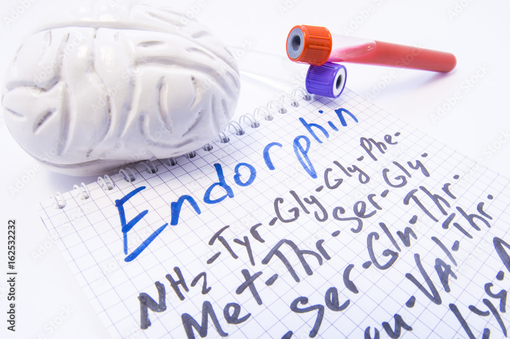 Endorfin opioid neuropeptides. Two laboratory test tubes with blood and ...