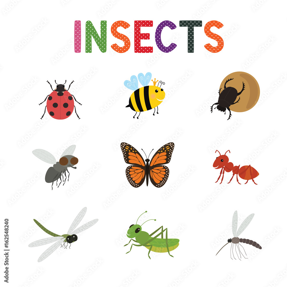 Funny insects, cute cartoon bugs vector set. Colored insects bee ...
