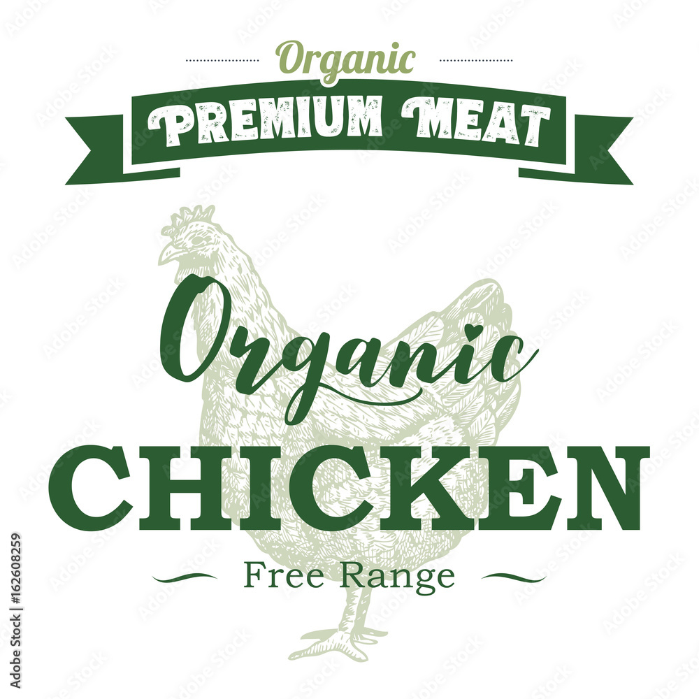 Hand drawn chicken label with text organic chicken, vector Stock Vector ...