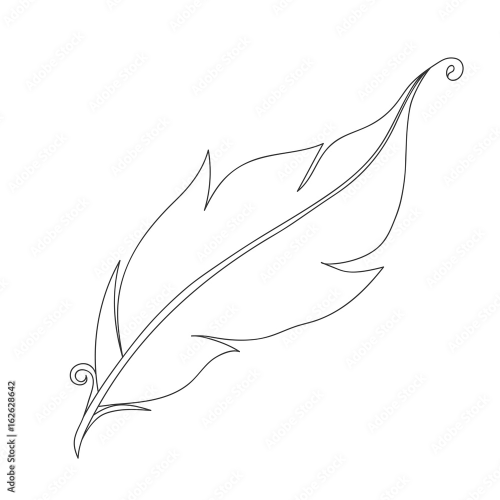 Simple Curved Feather Drawing