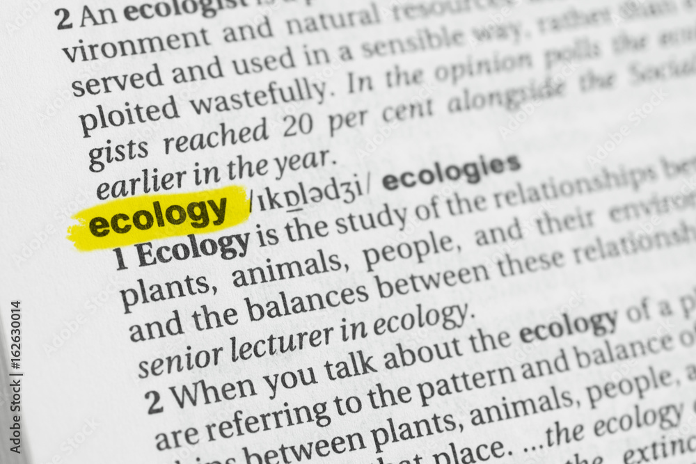 Ecology Definition