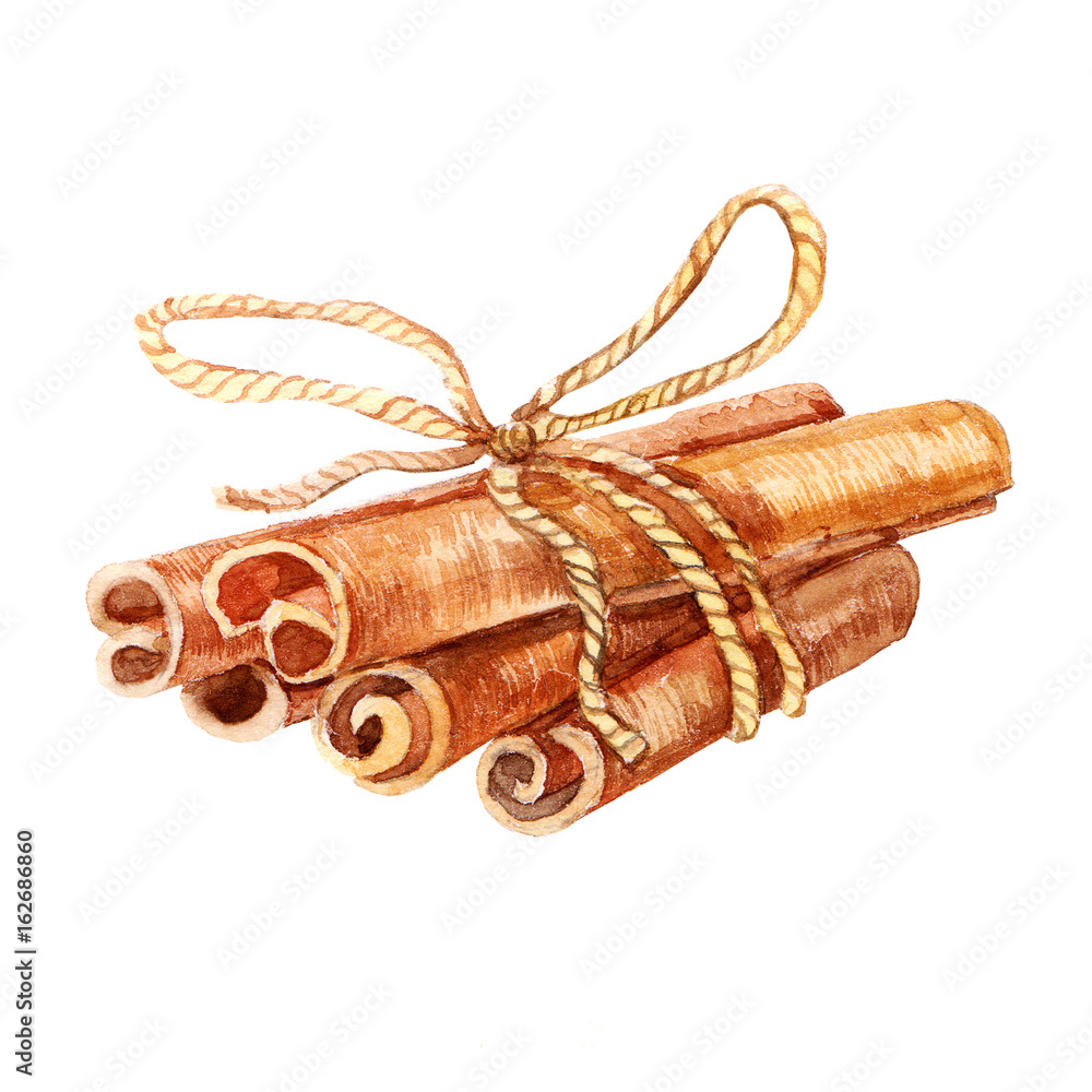 Watercolor Fragrant cinnamon sticks image.Cinnamon icons illustration ...