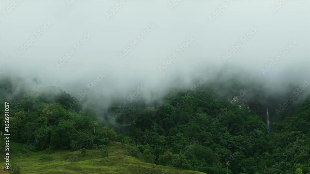 Epic Nature background full hd and 4k. High Humidity In Jungle ...