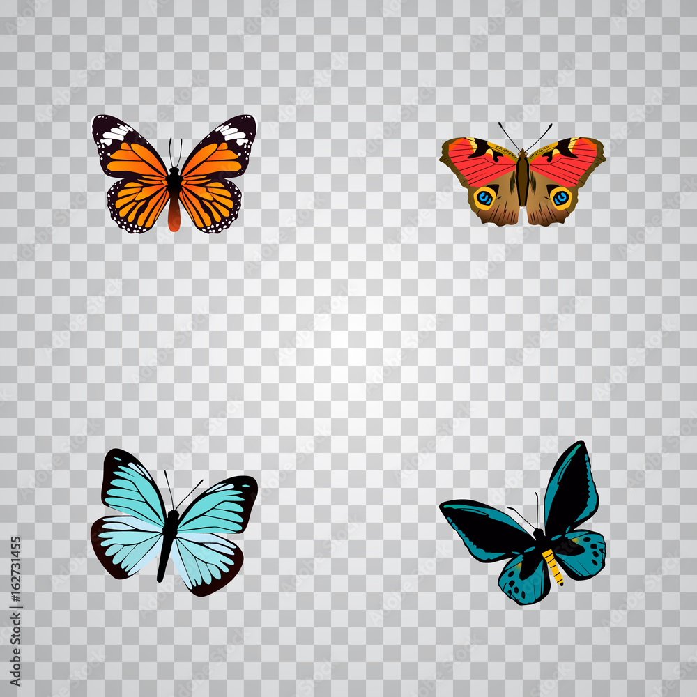 Realistic Monarch, Demophoon, Lexias And Other Vector Elements. Set Of ...