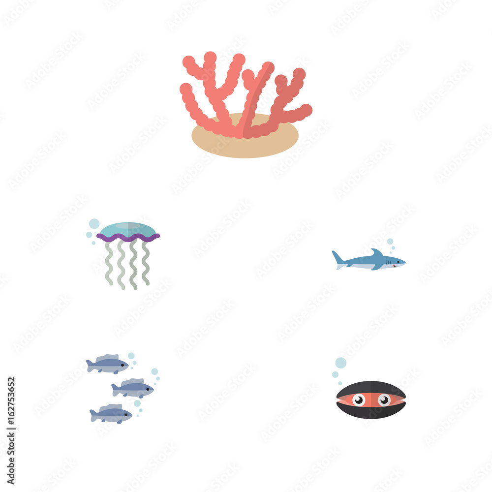 Flat Icon Nature Set Of Algae, Shark, Tuna And Other Vector Objects ...