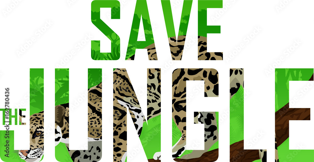 Vector tropical rainforest illustration with clouded leopard (Save the ...