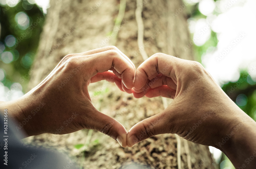 hands forming a heart shape around a big tree - protecting and love ...