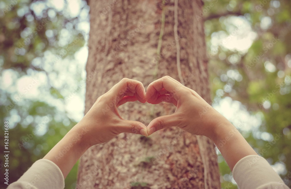 hands forming a heart shape around a big tree - protecting and love ...