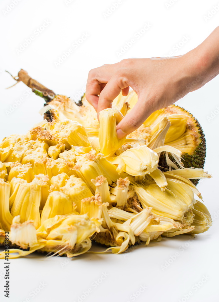 Hand reaching jackfruit isolated on white background Stock Photo ...