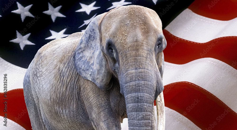 elephant on usa flag used as background Stock Photo | Adobe Stock