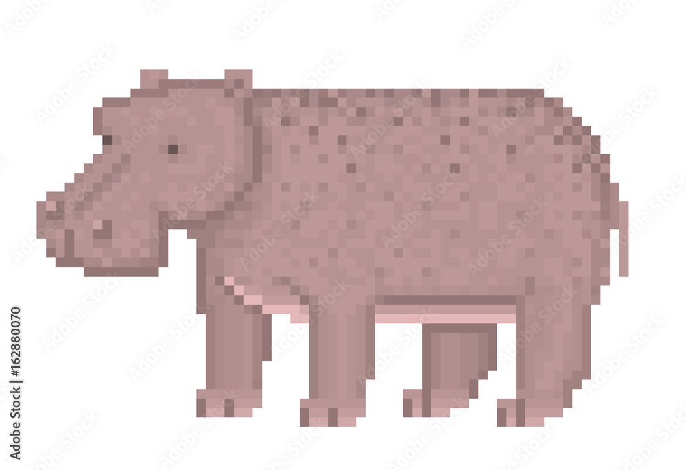 Hippopotamus Art