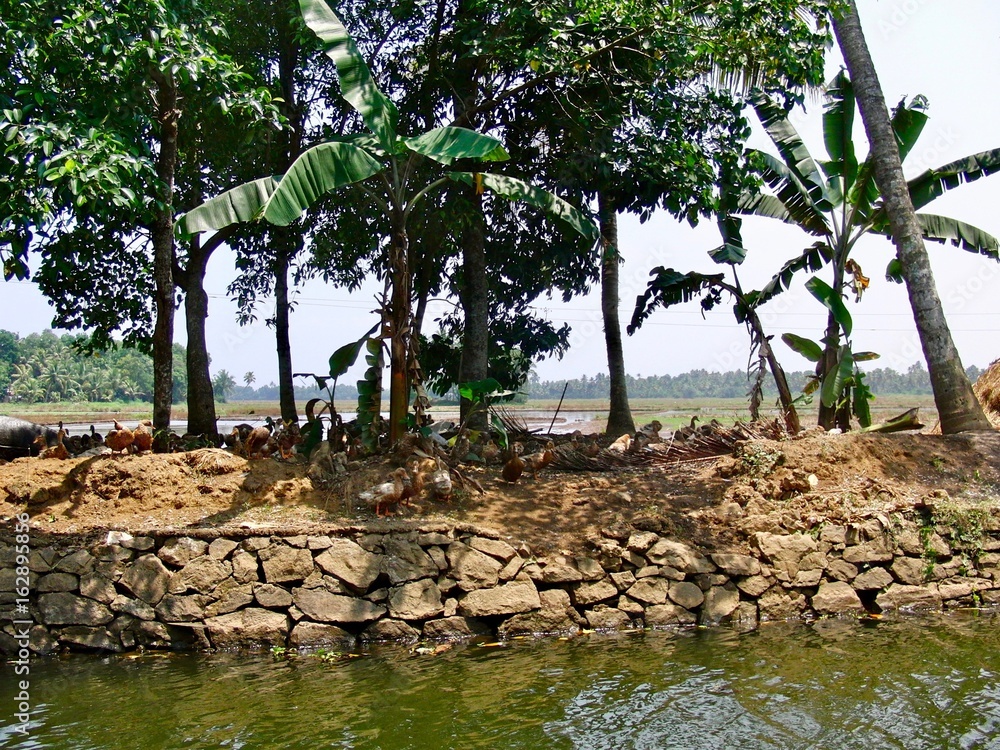 Boat ride (ferry) on a river in Kerala (Keralam) -a state in south ...