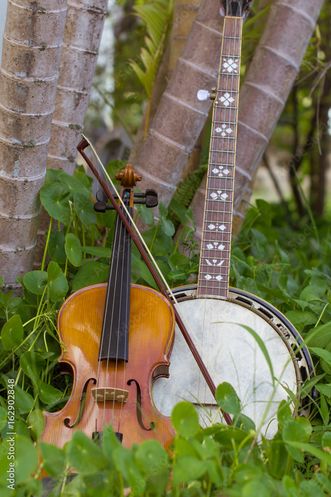 .Violin with banjo, bluesgrass musical instrument Placed beside the ...
