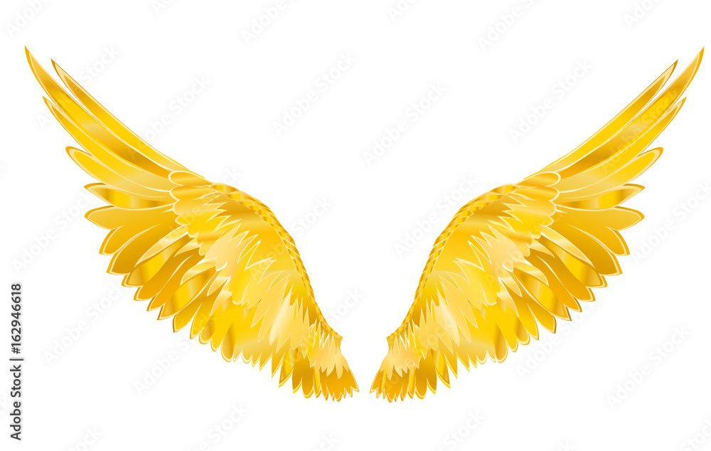 Wings. Vector illustration. Golden metal Stock Vector | Adobe Stock