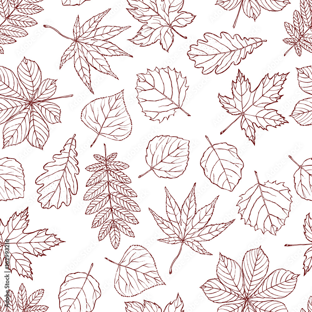 Different Types Of Tree Leaves