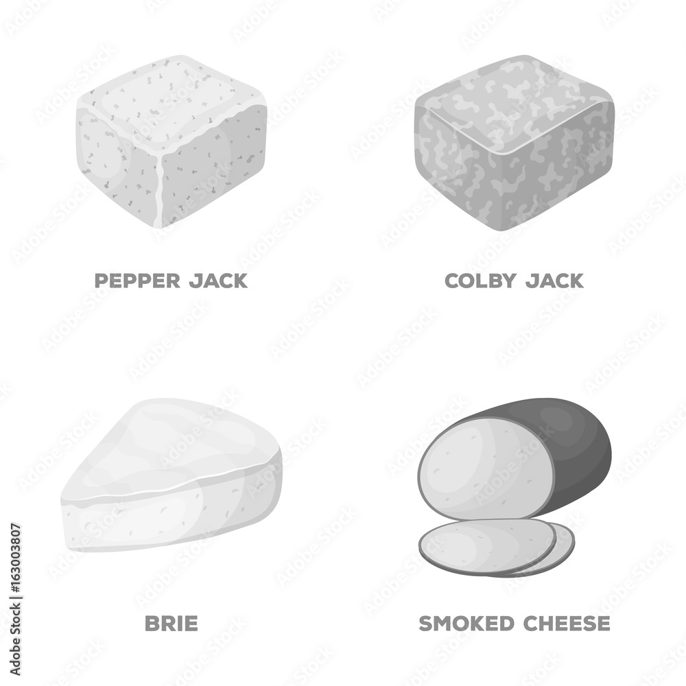 Brynza, smoked, colby jack, pepper jack.Different types of cheese set ...