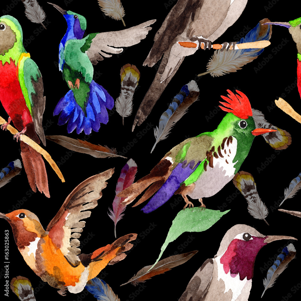 Sky bird colibri pattern in a wildlife by watercolor style. Wild ...