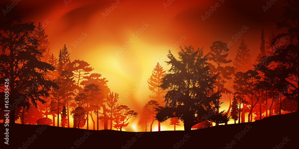 feu - pompier - incendie - feu de forêt - incendie de forêt ...