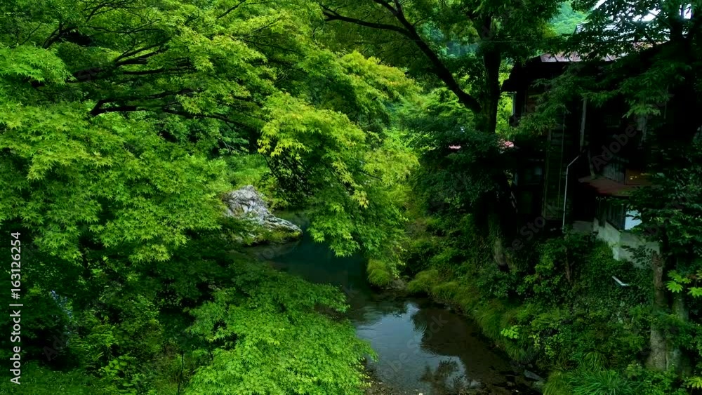 Aerial : Deep green forest and waterfall in Japan Fly down Stock Video ...