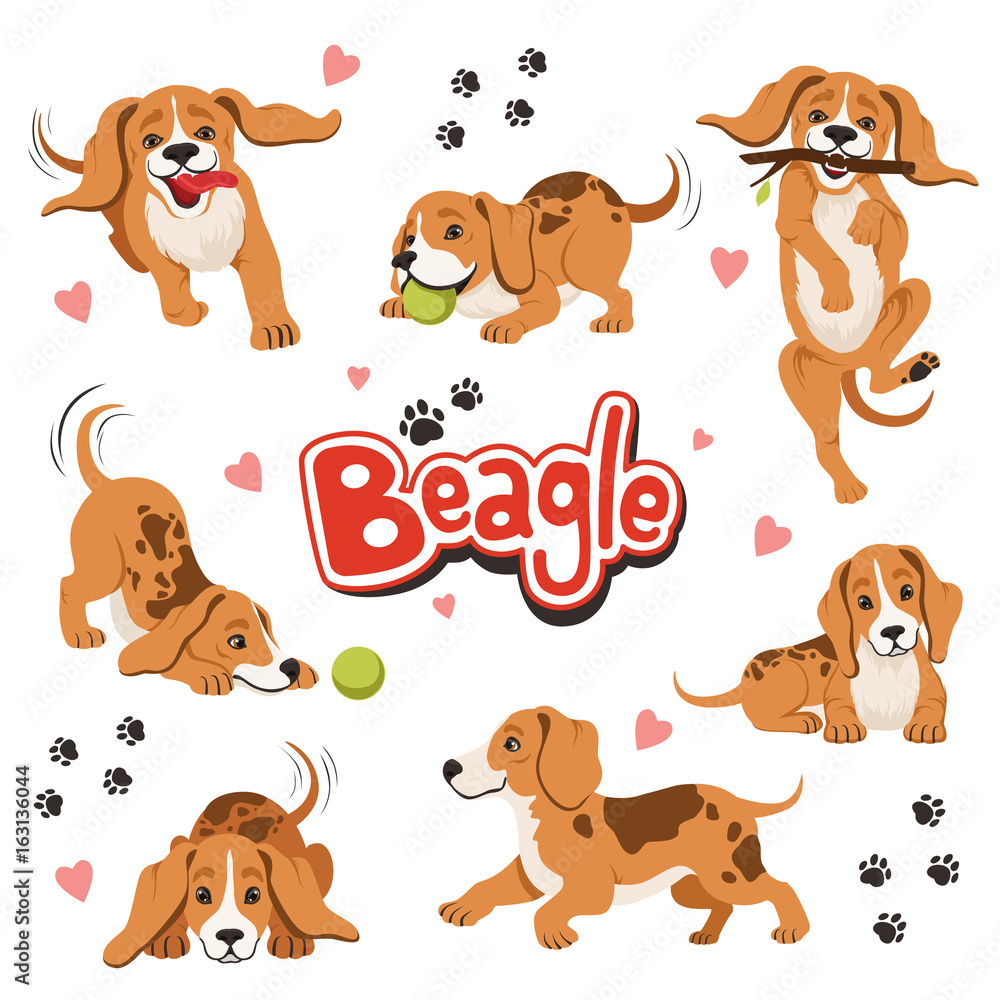 Character of funny movement dog in different dynamic poses. Sitting and ...