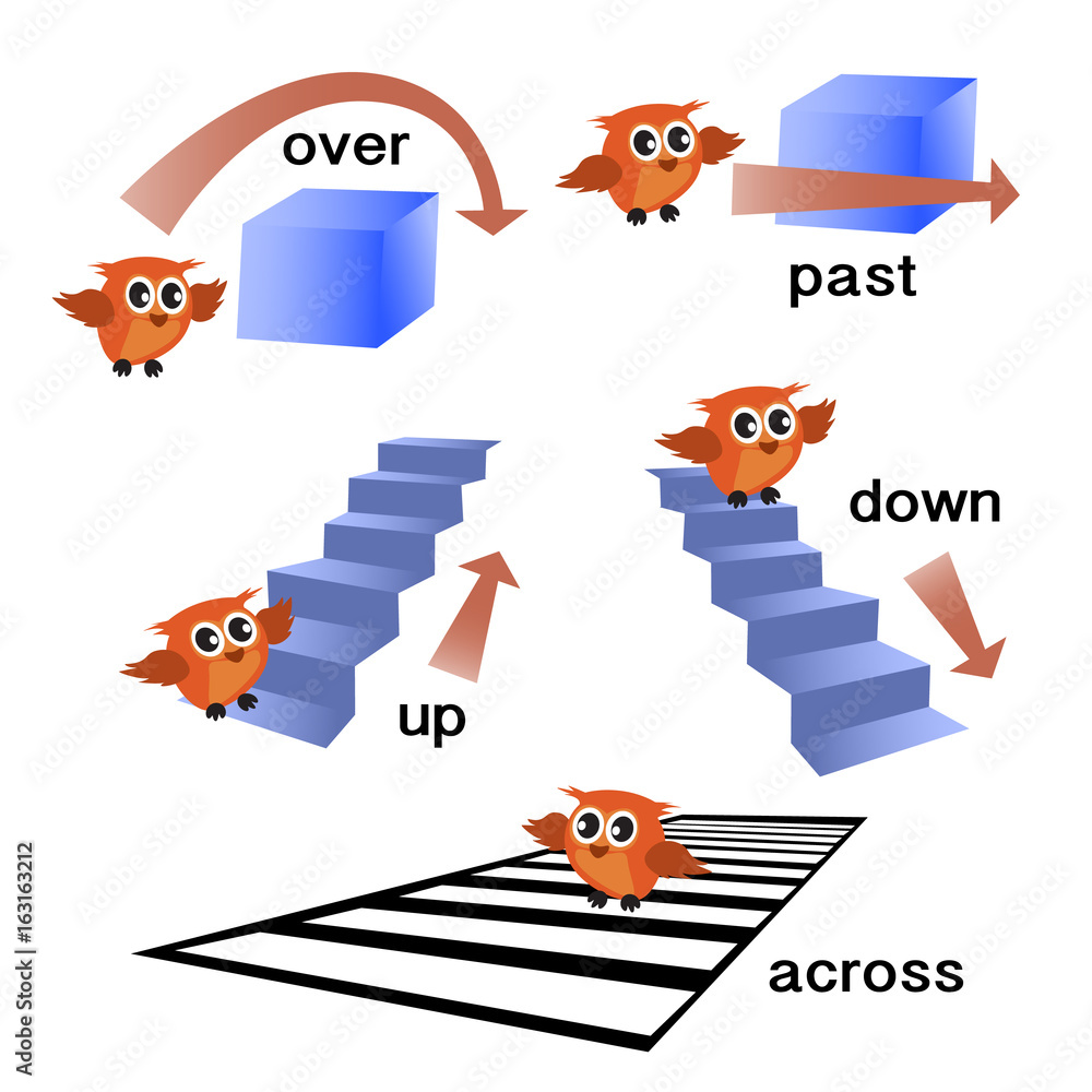reposition english grammar with Owl motion for preschool. vector ...