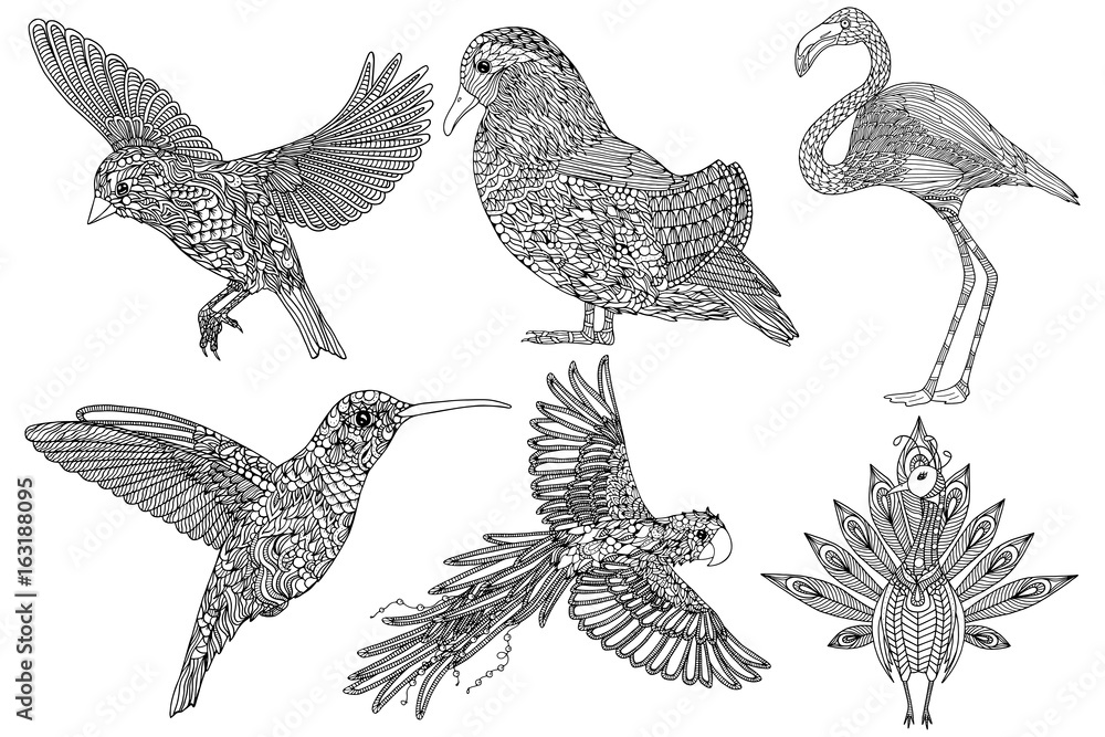 Collection of hand-drawn birds. Coloring page for adults Stock Vector ...