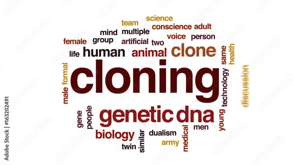 Cloning animated word cloud, text design animation. Stock Video | Adobe Stock