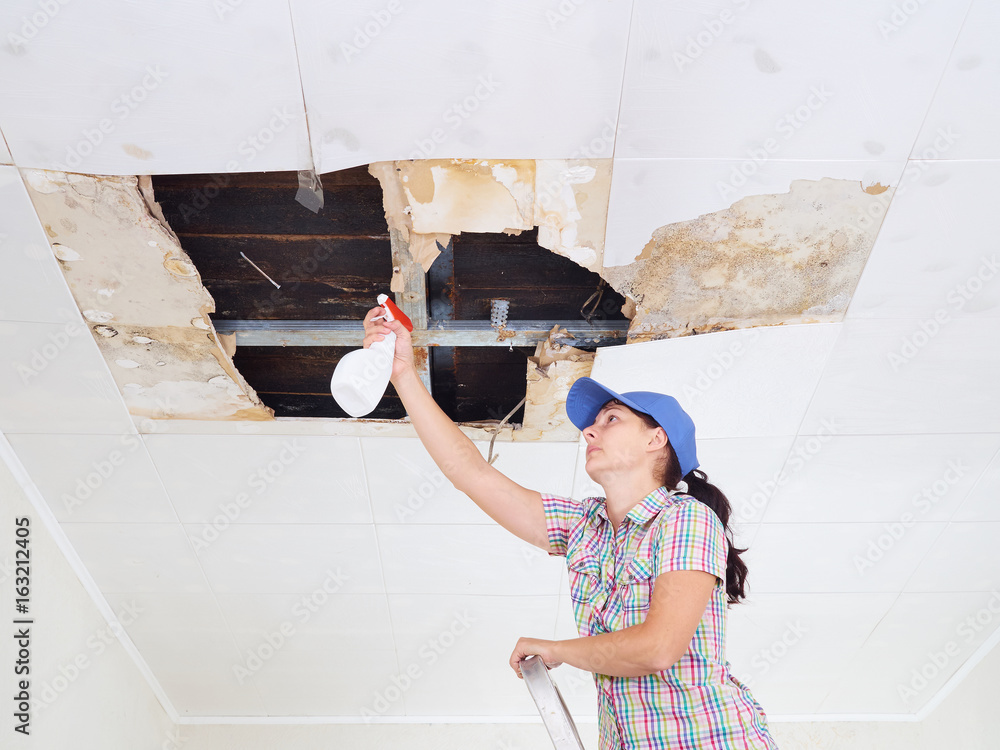 Young Woman cleaning mold on ceiling.Ceiling panels damaged huge hole ...