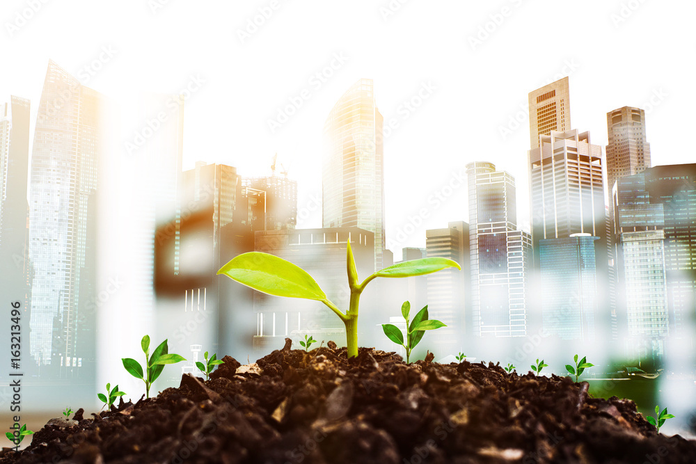 Growing plants on ground with city scape background. Save Earth Planet ...