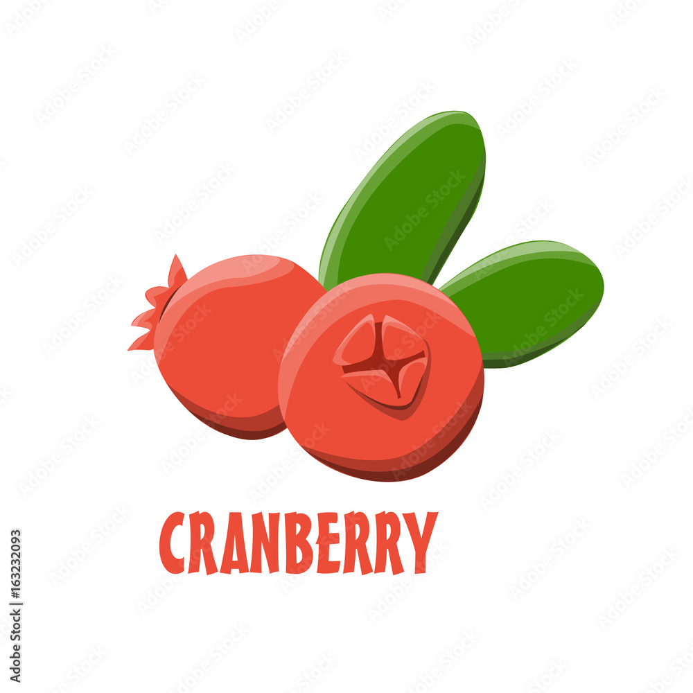 Logo Cranberry vector farm design Stock Vector | Adobe Stock