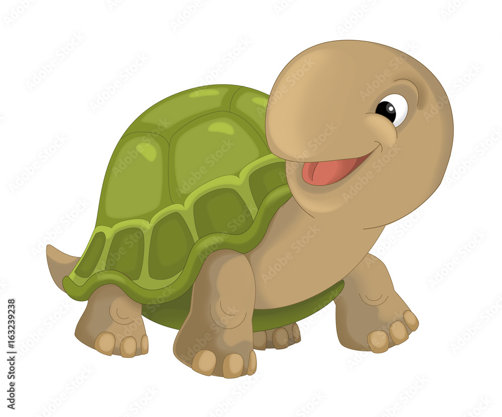 cartoon happy smiling turtle standing and looking - illustration for ...