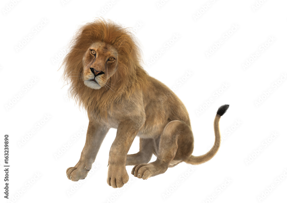 3D Rendering Male Lion on White Stock Illustration | Adobe Stock