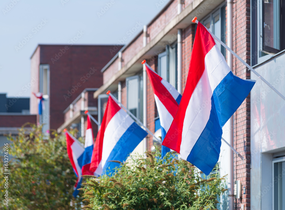 dutch flags in the street Stock Photo | Adobe Stock