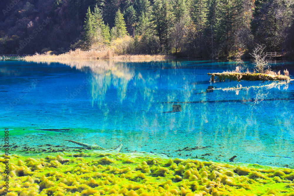 Transparent turquoise water lake with trees submerged at Jiuzhaigou ...