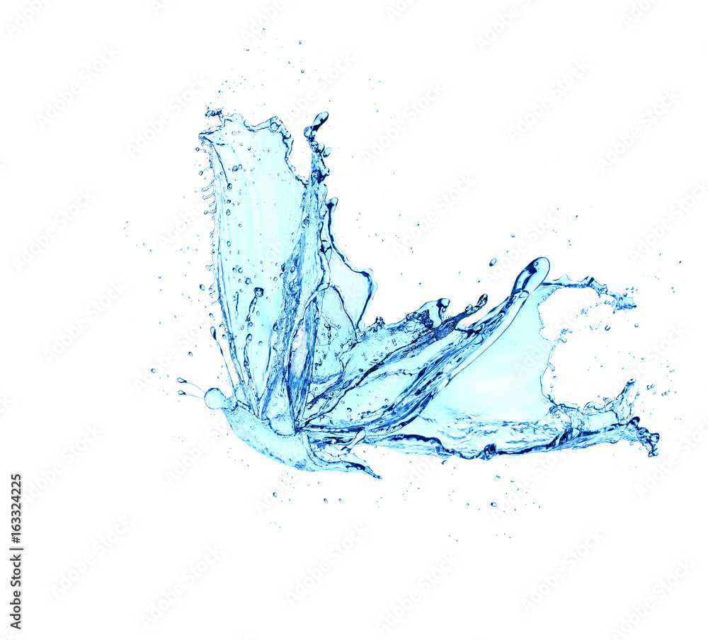 butterfly water splash isolated on white background Stock Photo | Adobe ...