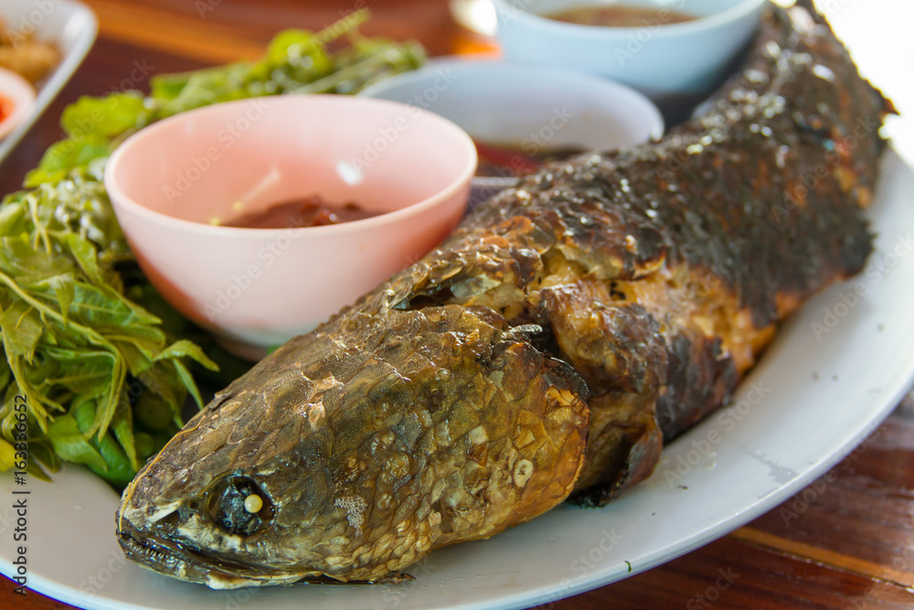 striped snakehead fish.Grill salt Stock Photo | Adobe Stock