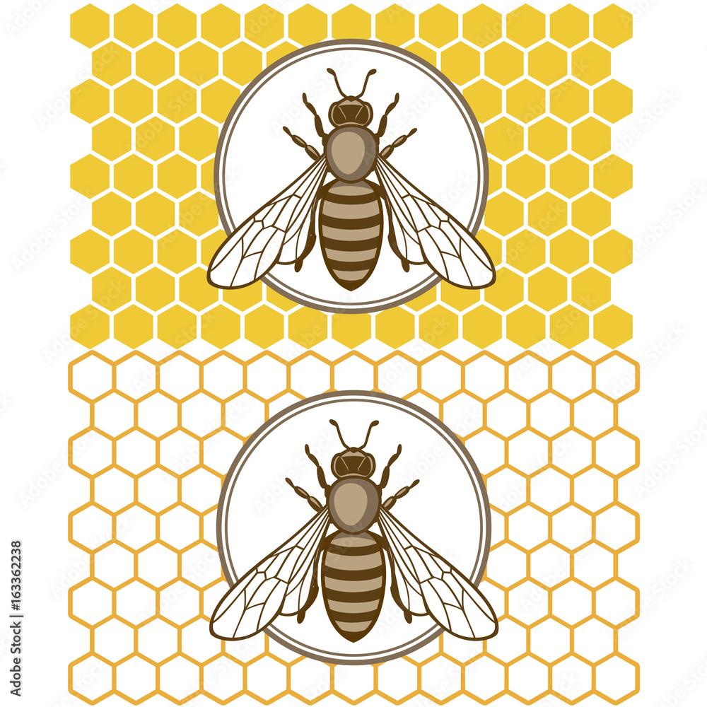 Honey bee set. Honey bee set. Vector. Set of honey and bee labels for ...