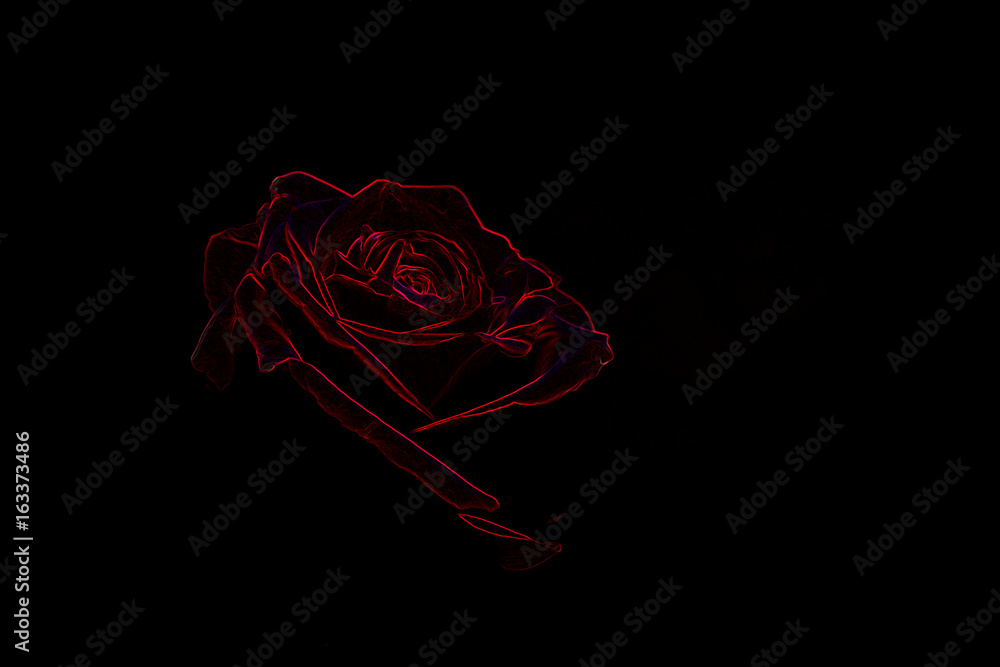 Red Rose Neon color on black background, copy space Stock Illustration ...