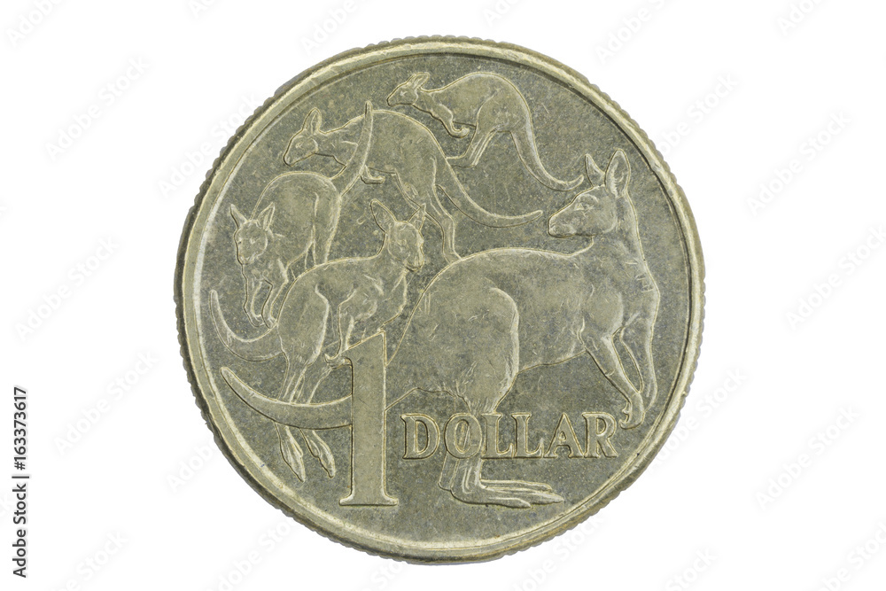 Extreme Macro detail of One Australian Dollar coin isolated on white ...