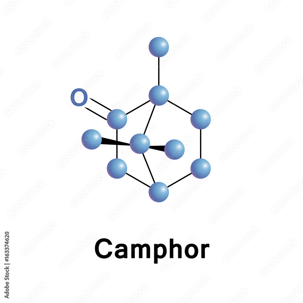 Camphor is a waxy, flammable, white or transparent solid with a strong ...