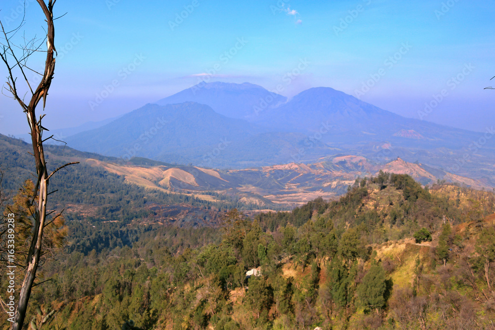 Dead tree among the chain of volcanoes on the island of Java, Indonesia ...