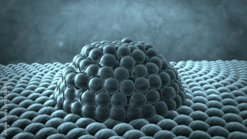 group of living cells under microscope, Cell division close up ...