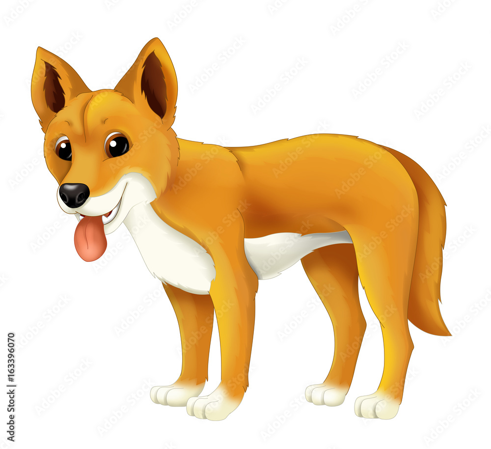cartoon animal dingo dog illustration for children Stock Illustration ...